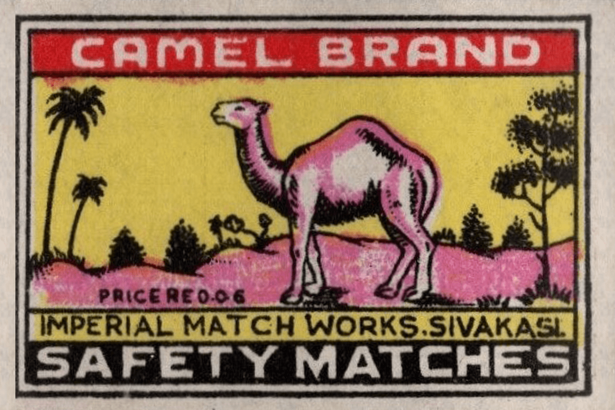 Camel Brand History & Product Line — Global Evolution and Market ...
